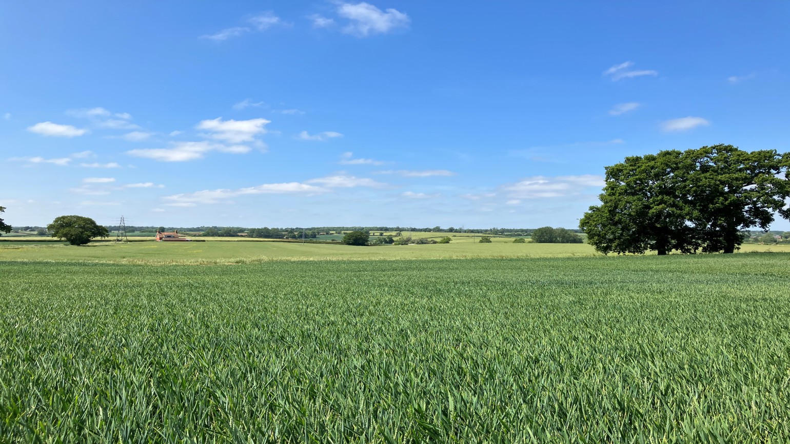 LUXIMO® ON FARM: Daniel King2024/2025