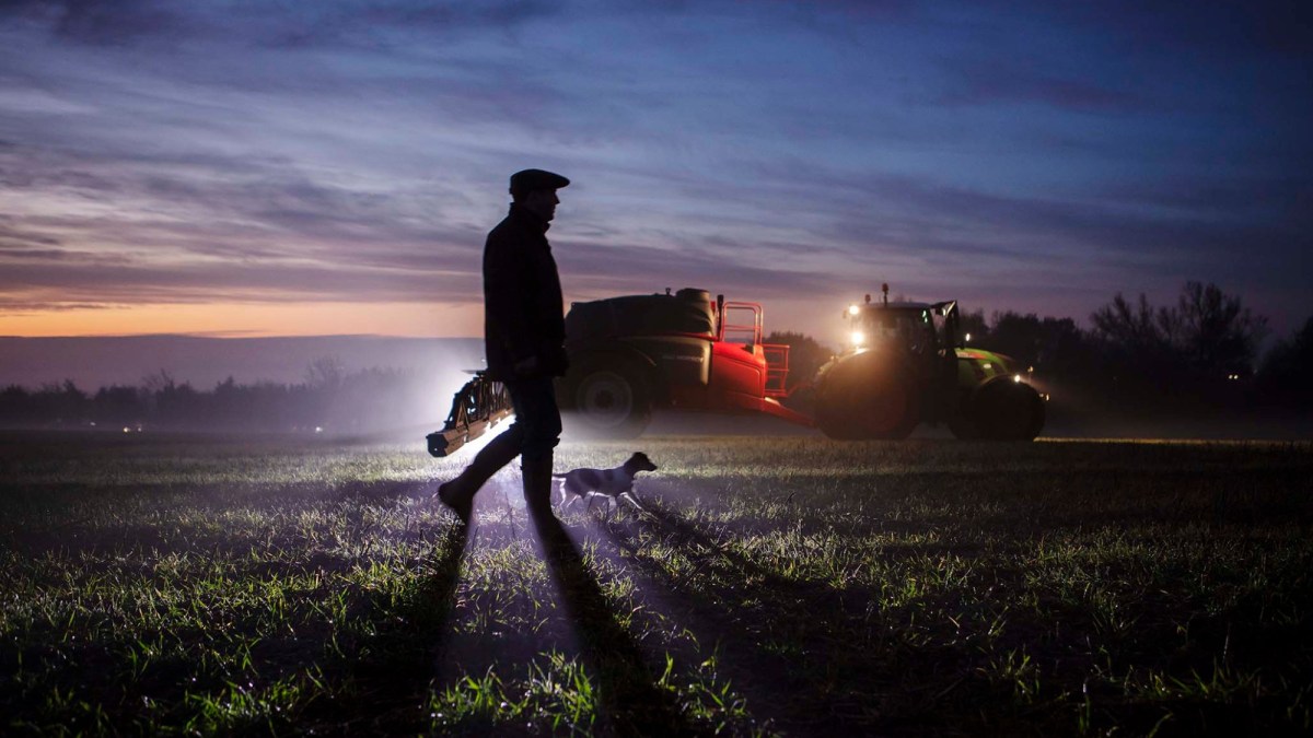 Meet the Trialists: Ed Ford