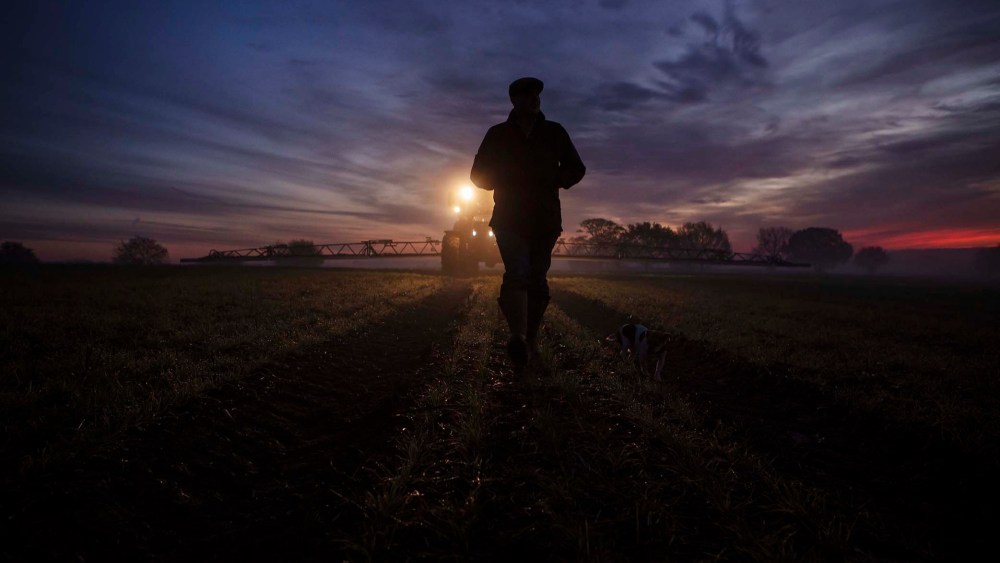 Luxinum® Plus contains Luximo®.