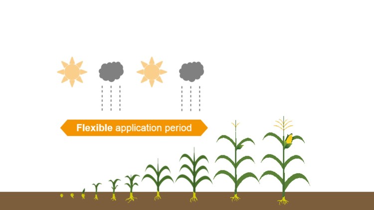 Protect urea-based fertilisers