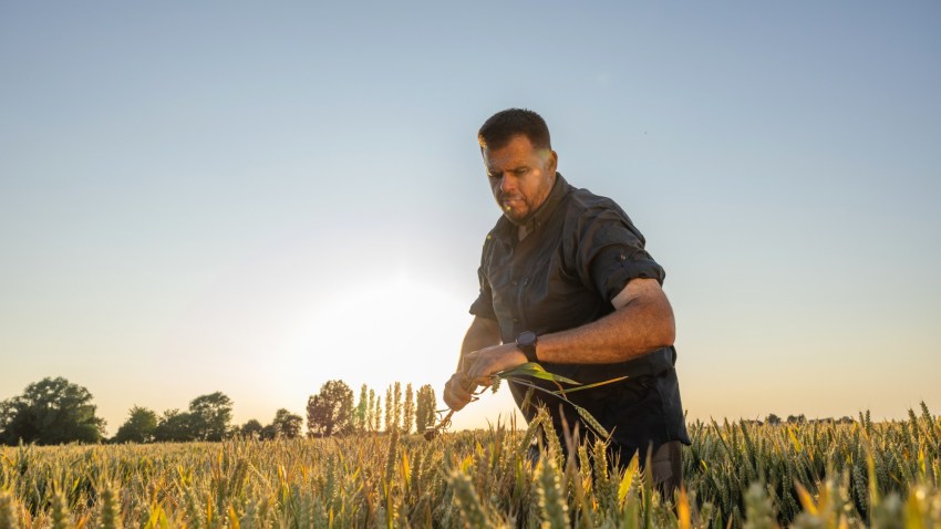 LUXIMO® ON FARM: David Hurn2024/2025