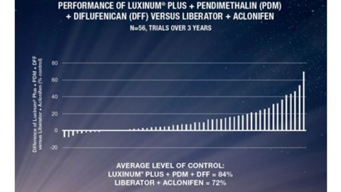 Luxinum Plus + Stomp Aqua