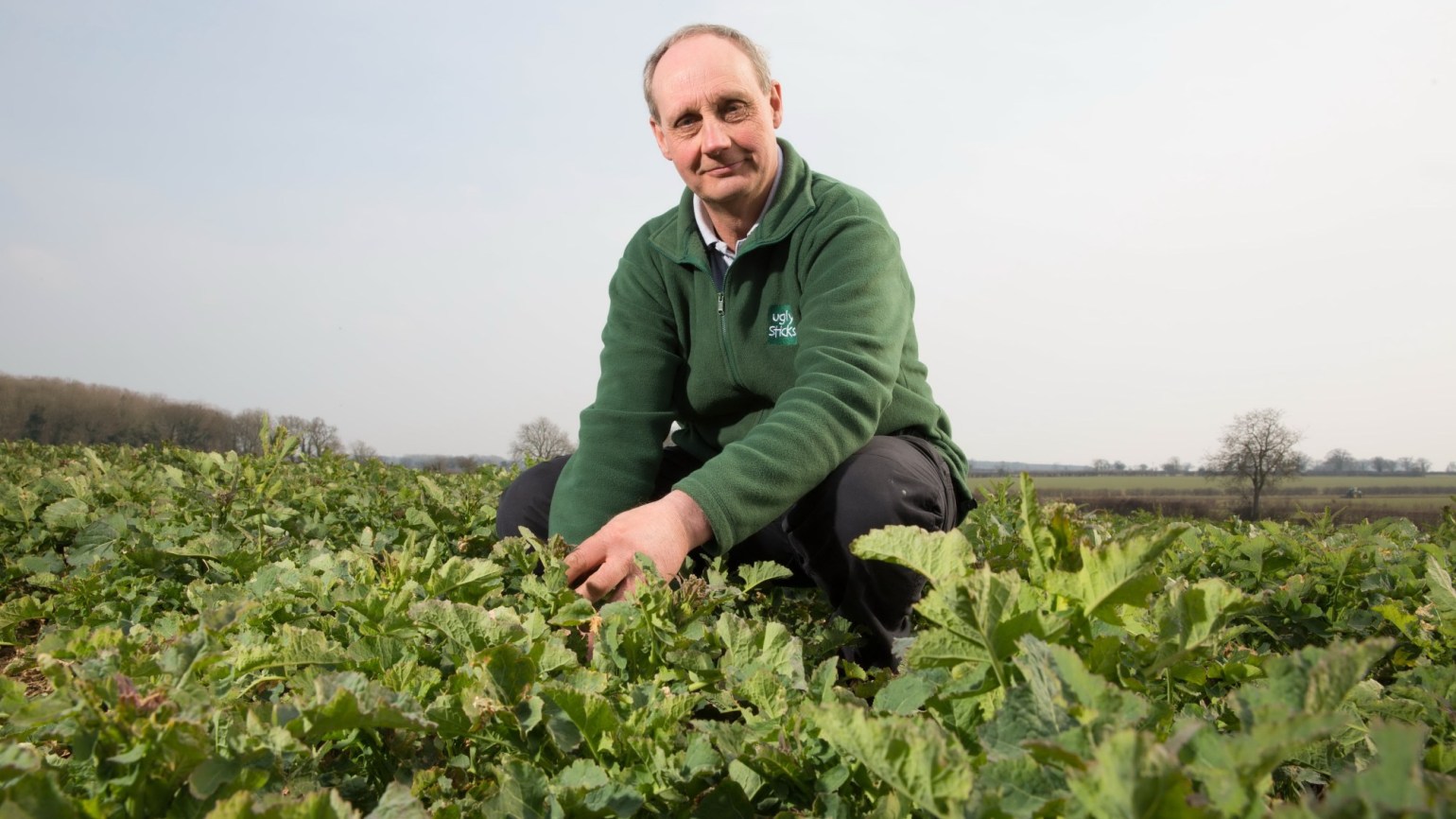 New ADAS research: Looking beyond larvae per plant - OSR crops with ...
