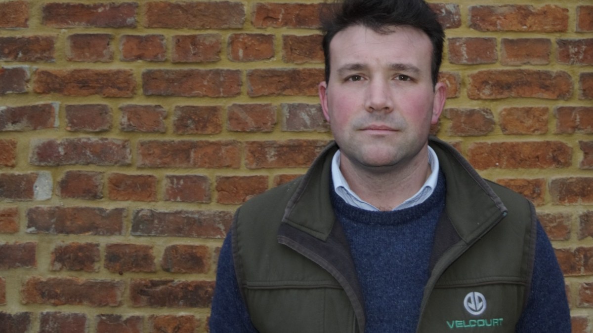 Limus leads the way in Velcourt trials