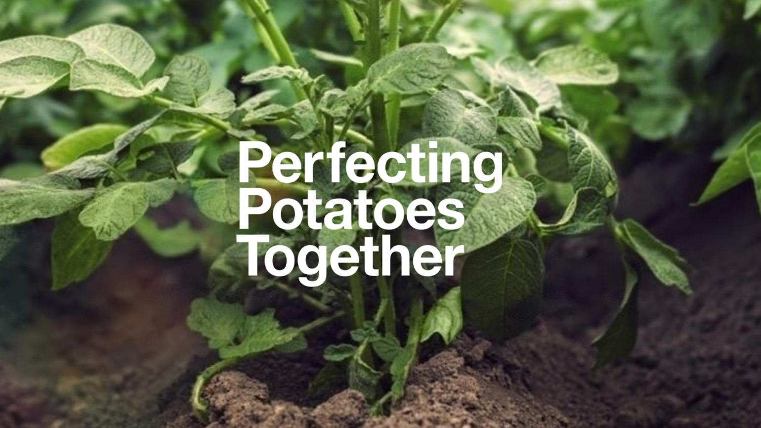 Perfecting Potatoes Together