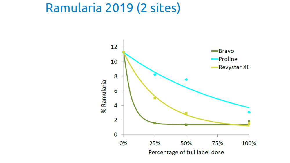 Spring Barley and Ramularia