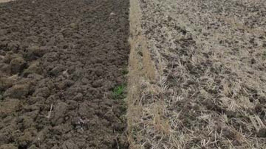 Cultivation Principles – Fat Hen - BASF Agricultural Solutions UK