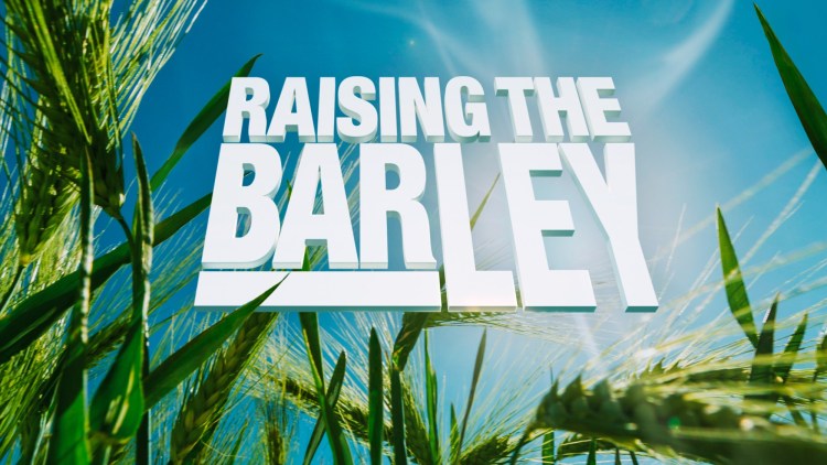 BASF Product Revocations