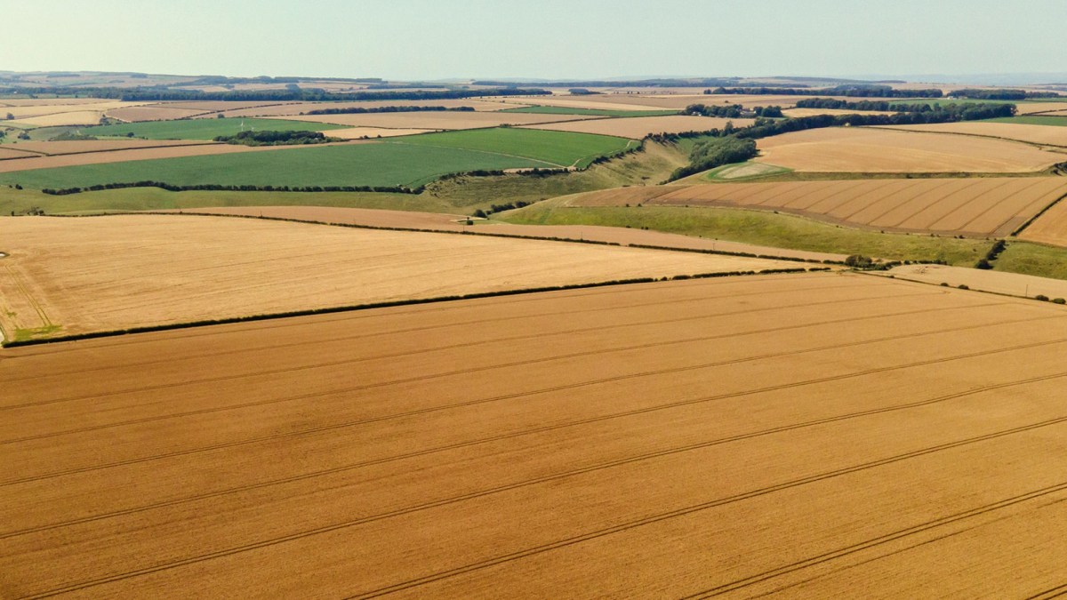 Revystar XE - BASF Agricultural Solutions UK