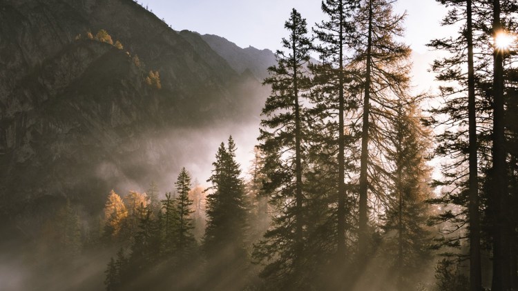 The Rawcliffe Bridge Award for Sustainability 2023