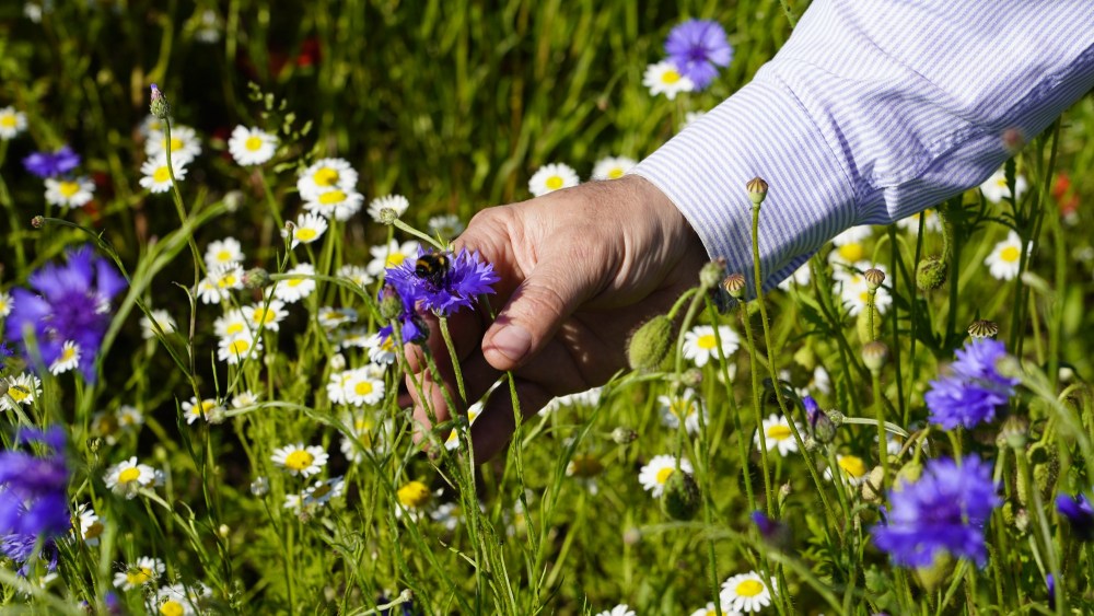 The Rawcliffe Bridge Award for Sustainability