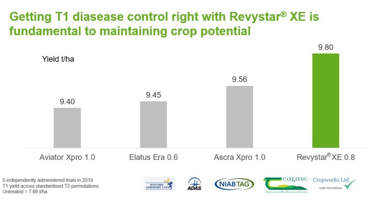 At T1 in 2021, Septoria remains the main target