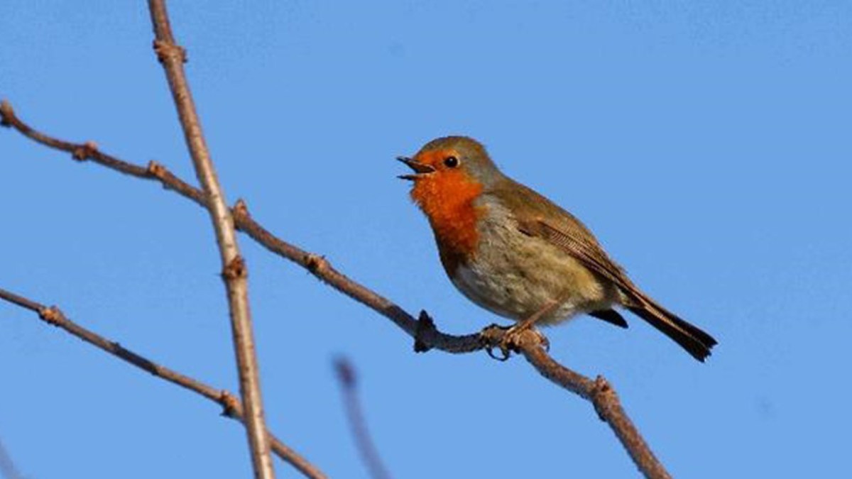 Climate Smart Farming