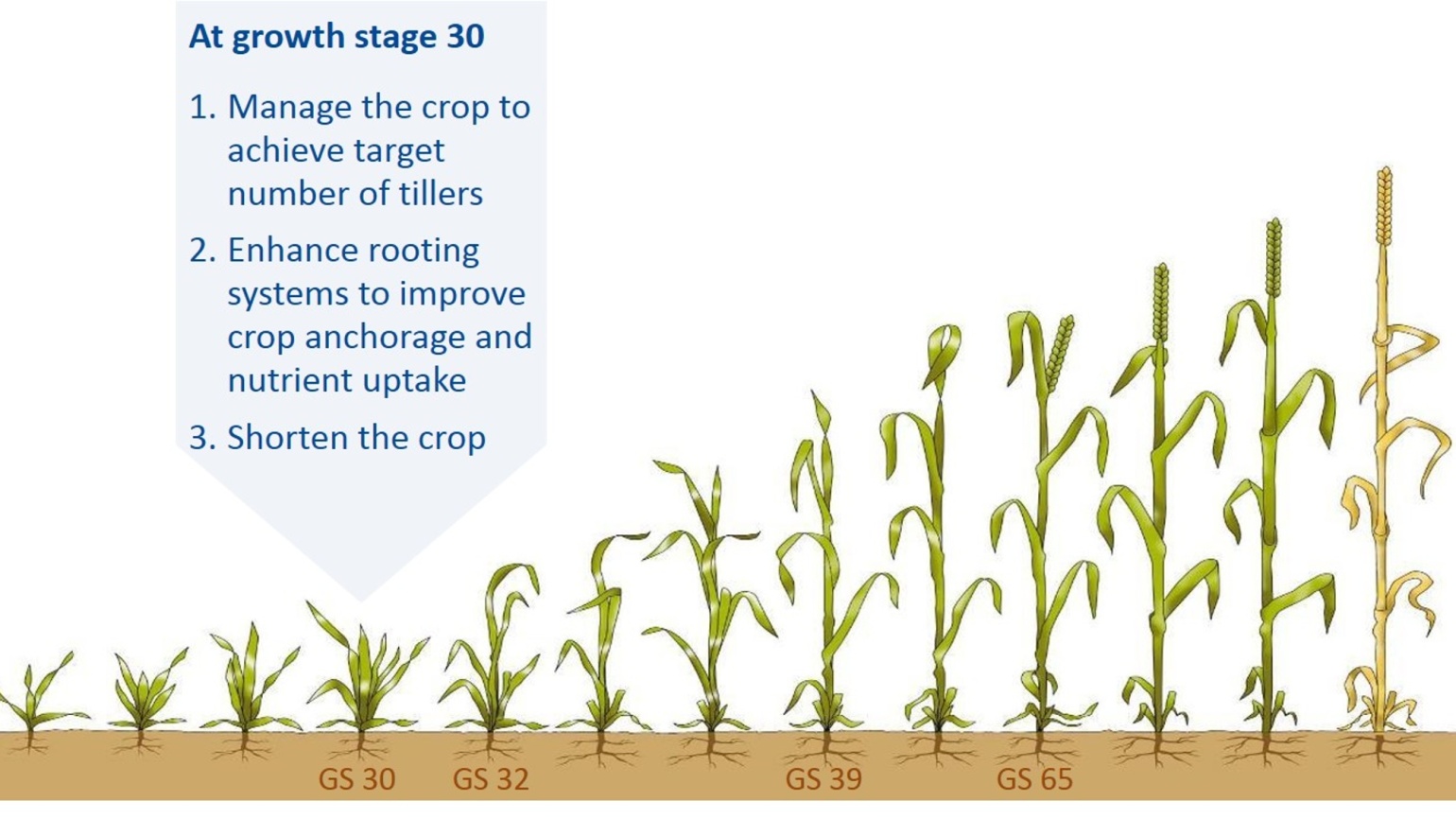 When should I apply a PGR?