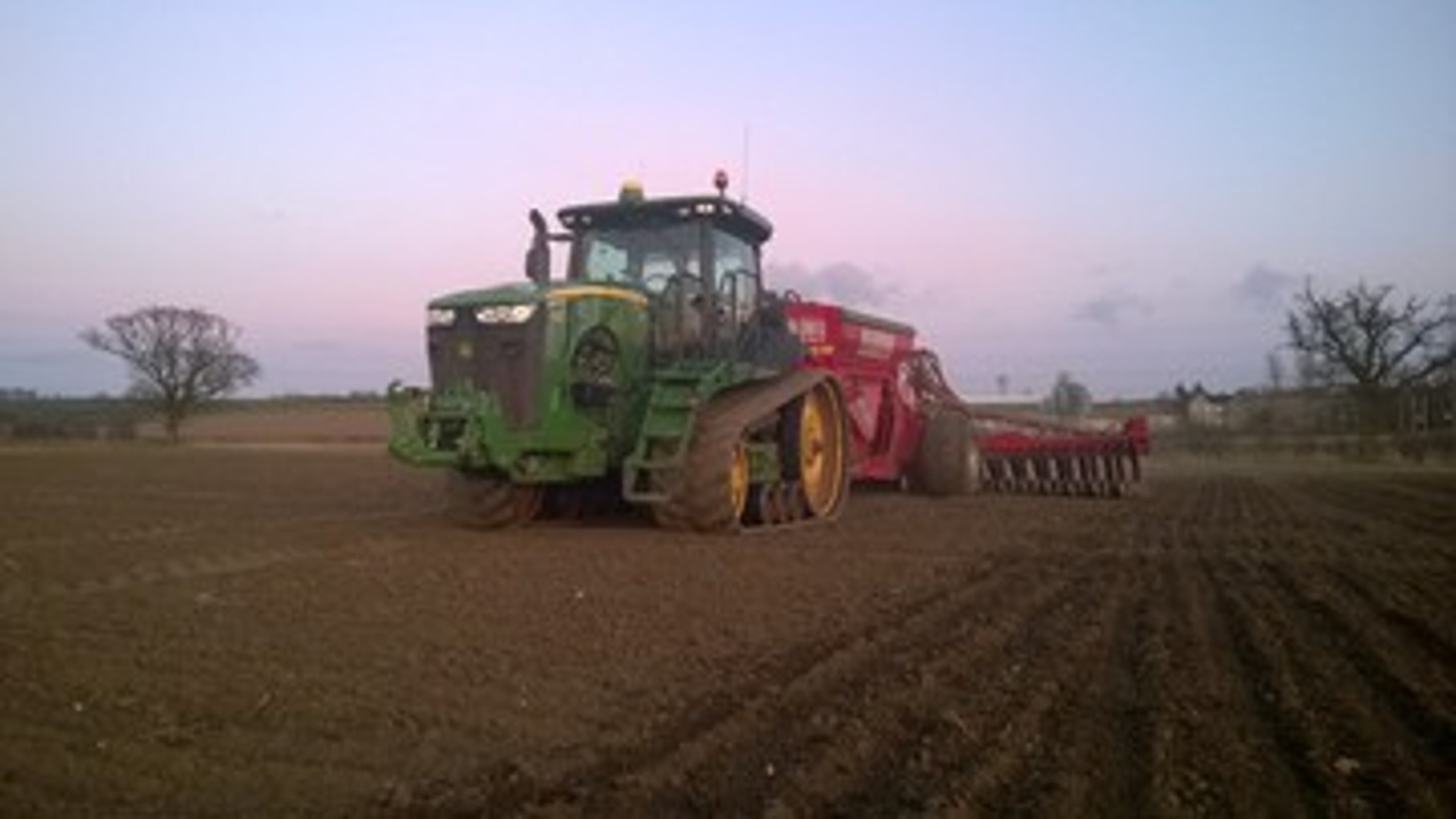 Establishment for Sterile/Barren brome