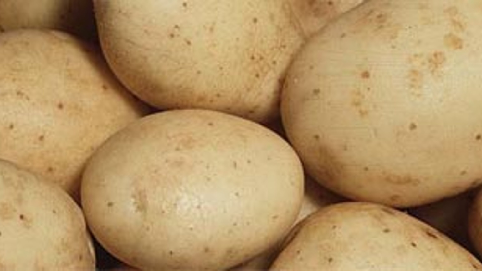 Potatoes - BASF Agricultural Solutions UK