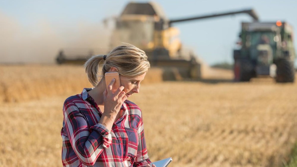 Barley Crop Management