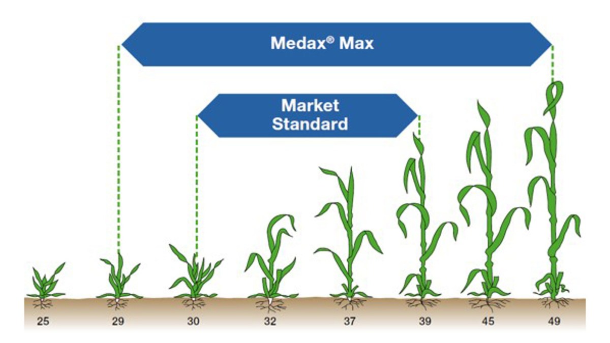 Medax Max