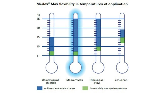 Medax Max