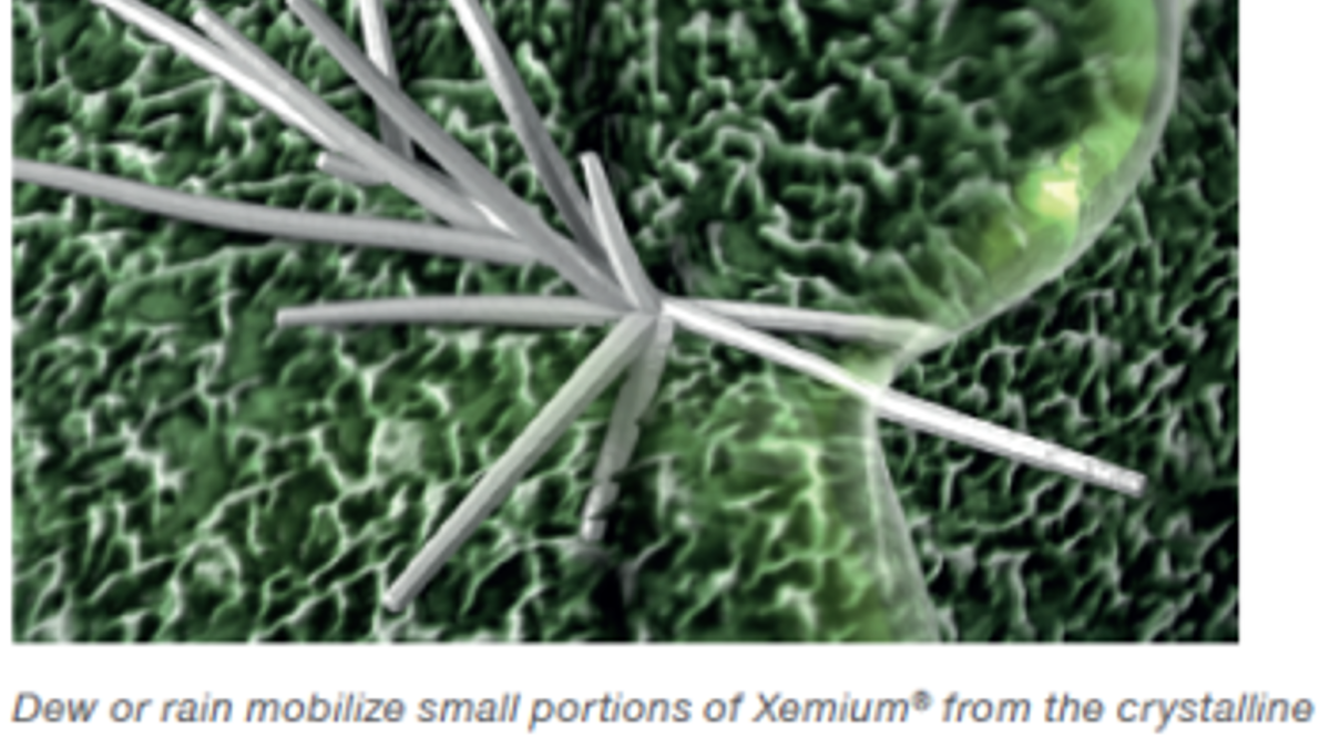 Sercadis - BASF Agricultural Solutions UK