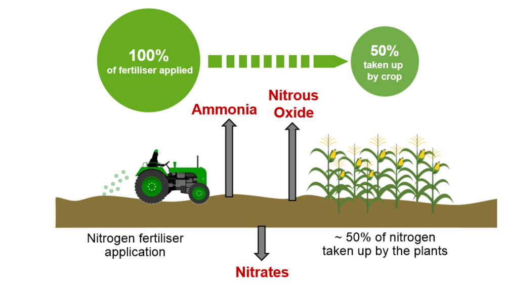 Nitrogen Management