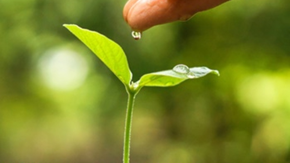 Water Stewardship