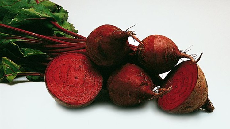 Fodder Beet - BASF Agricultural Solutions UK